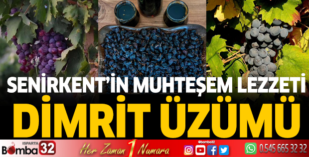 Senirkent'in muhteşem lezzeti: Dimrit Üzümü - Bomba 32 - ISPARTA HABER ...