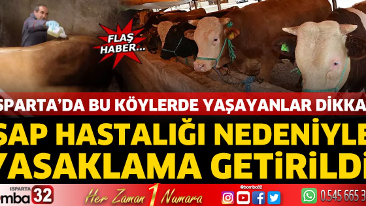Isparta'da şap hastalığı nedeniyle yasaklama getirildi! - Bomba 32 - ISPARTA HABER, Isparta ...