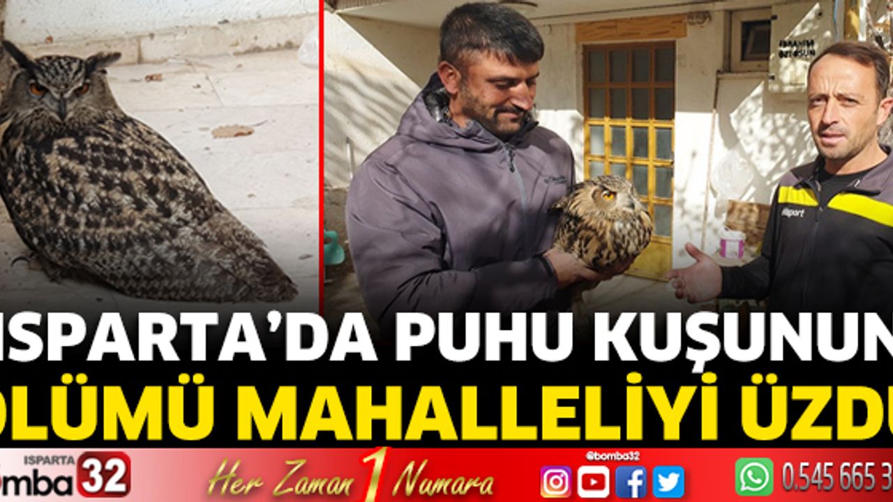 Puhu kuşunun ölümü mahalleliyi üzdü - Bomba 32 - ISPARTA HABER, Isparta ...